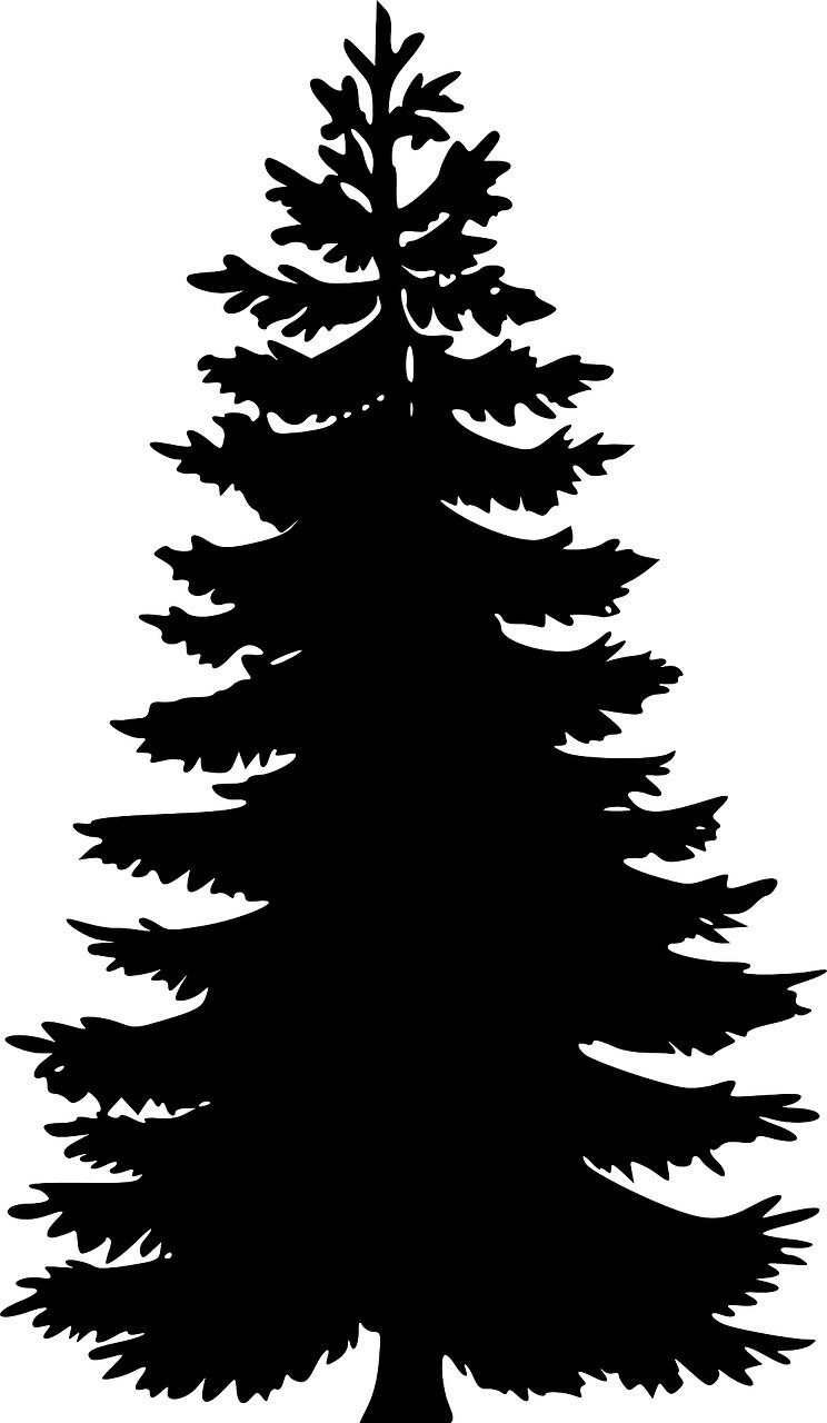Pine Tree Svg - Etsy
