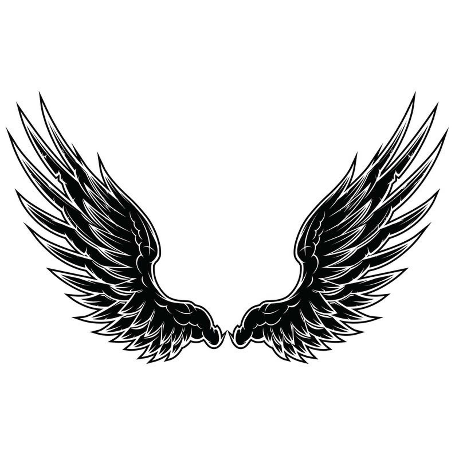 Wings Svg - Etsy