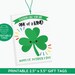 Printable Happy St Patricks Day Gift Tag, St Patricks Day TEACHER Treat ...
