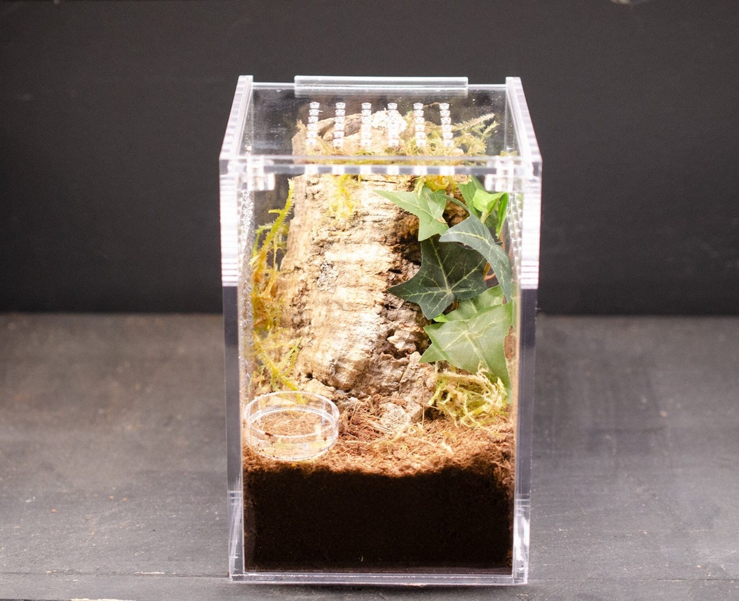 4x4x6" Tarantula & Insect Cage - Complete Fossorial / Arboreal Kit ...