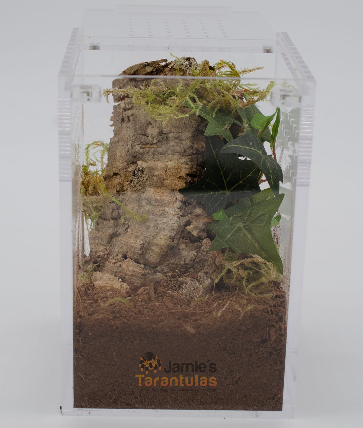 4x4x6" Tarantula & Insect Cage - Complete Fossorial / Arboreal Kit ...