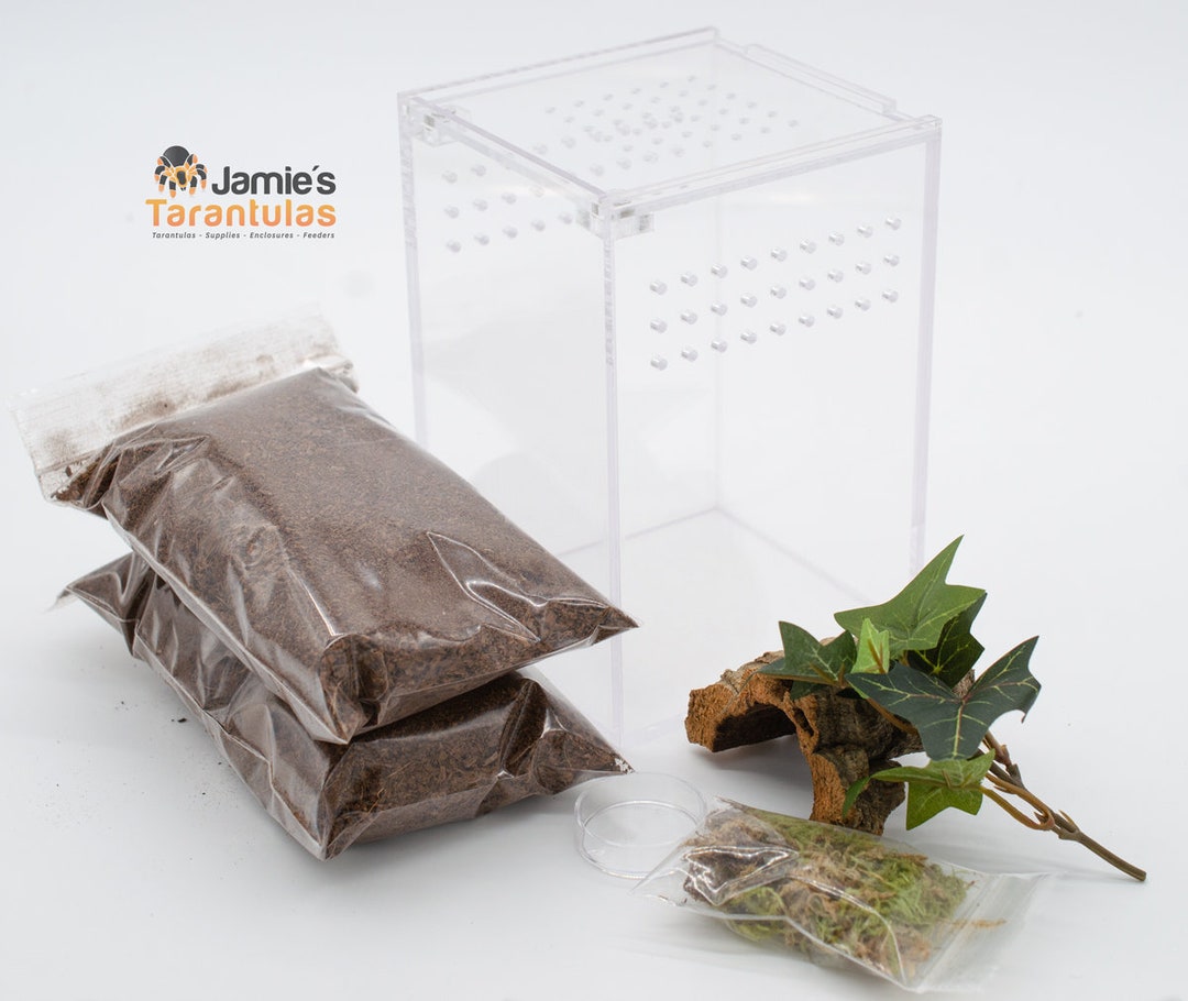4x4x6" Tarantula & Insect Cage - Complete Terrestrial Kit - Magterra ...
