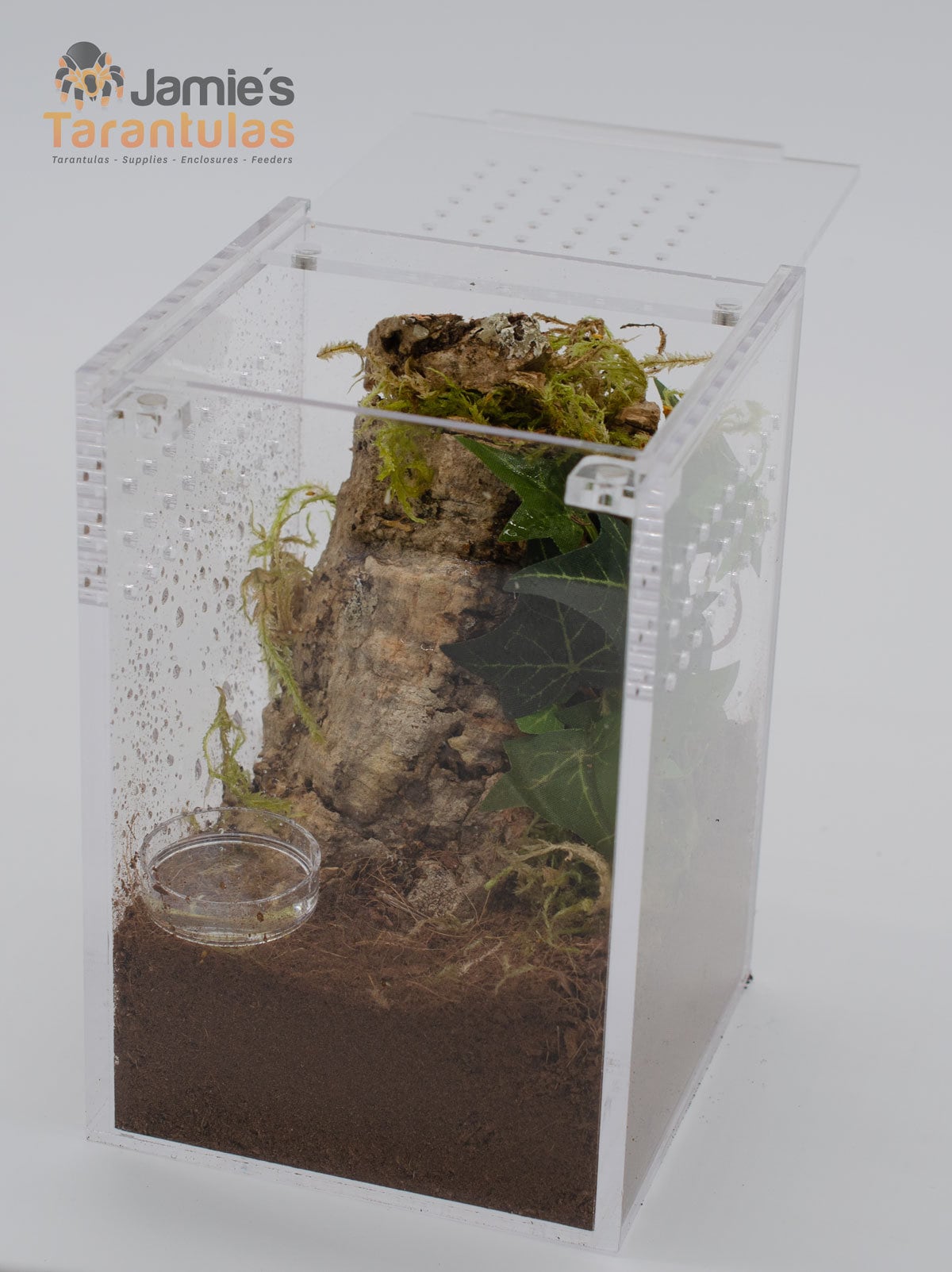 4x4x6" Tarantula & Insect Cage - Complete Fossorial / Arboreal Kit ...