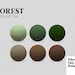 Polymer Clay Recipe | Color Mixing | FIMO Professional Color Mixing ...