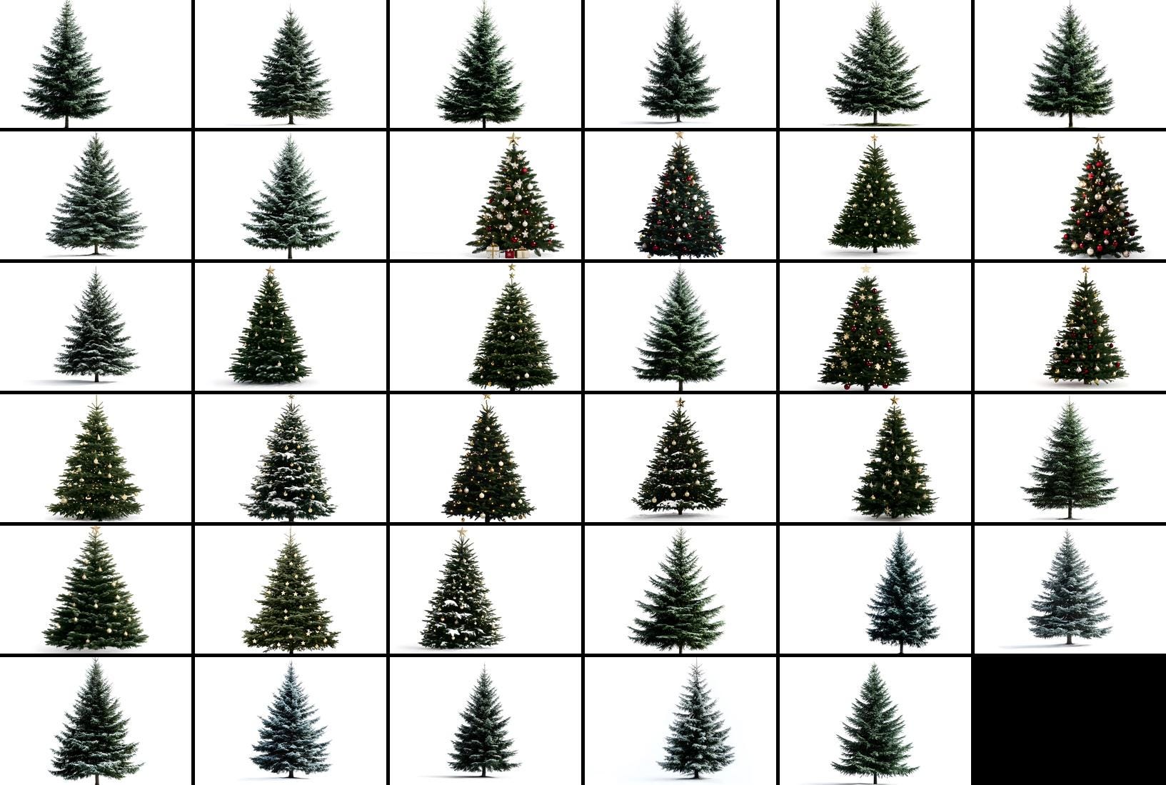 Fir Trees Overlays (35 Transparent Pngs) - Digital Download for ...