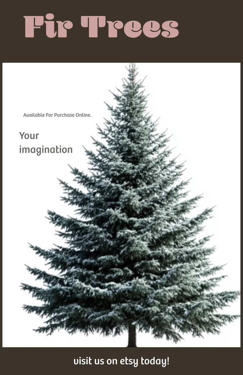 Fir Trees Overlays (35 Transparent Pngs) - Digital Download for ...