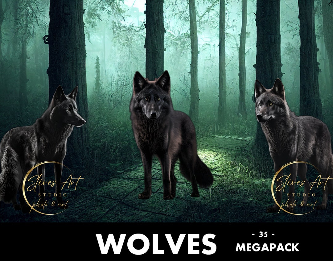Wolves Overlays - (35) - PNG Files - Photoshop Overlays, Transparent ...