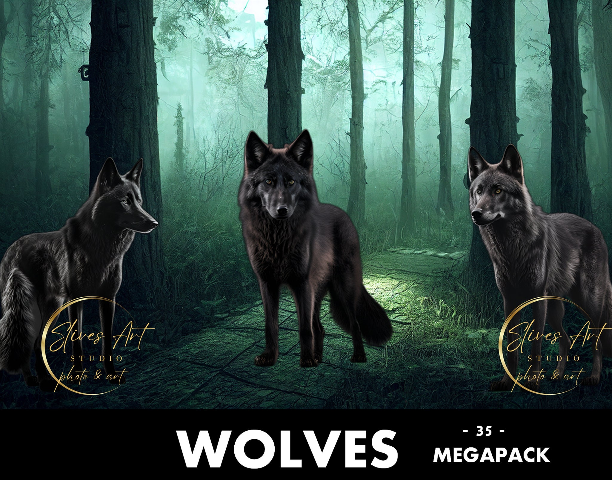 Pack Of Black Wolves