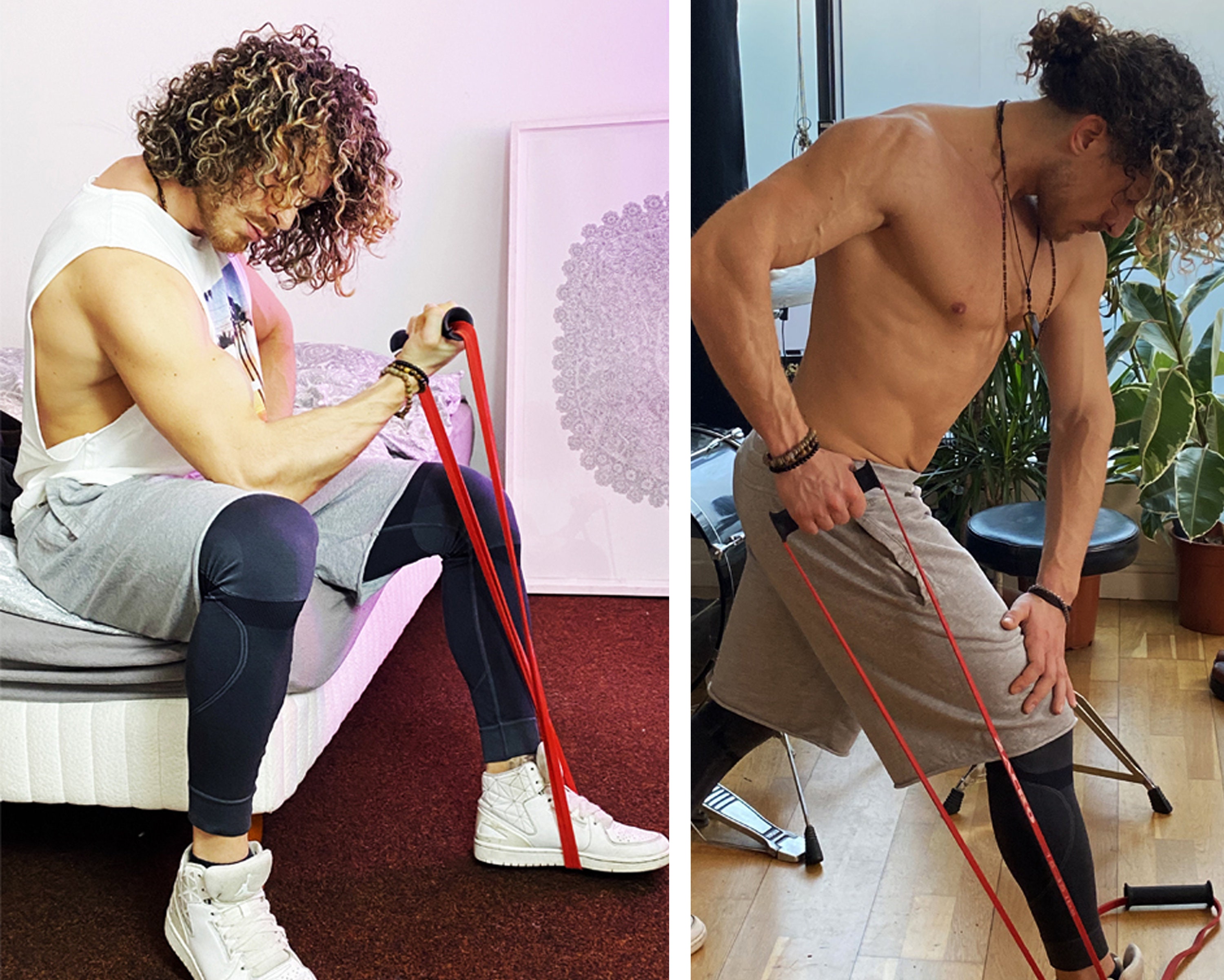 Bear Fitkit - the Perfect Exercise Equipment for Home Gym ...