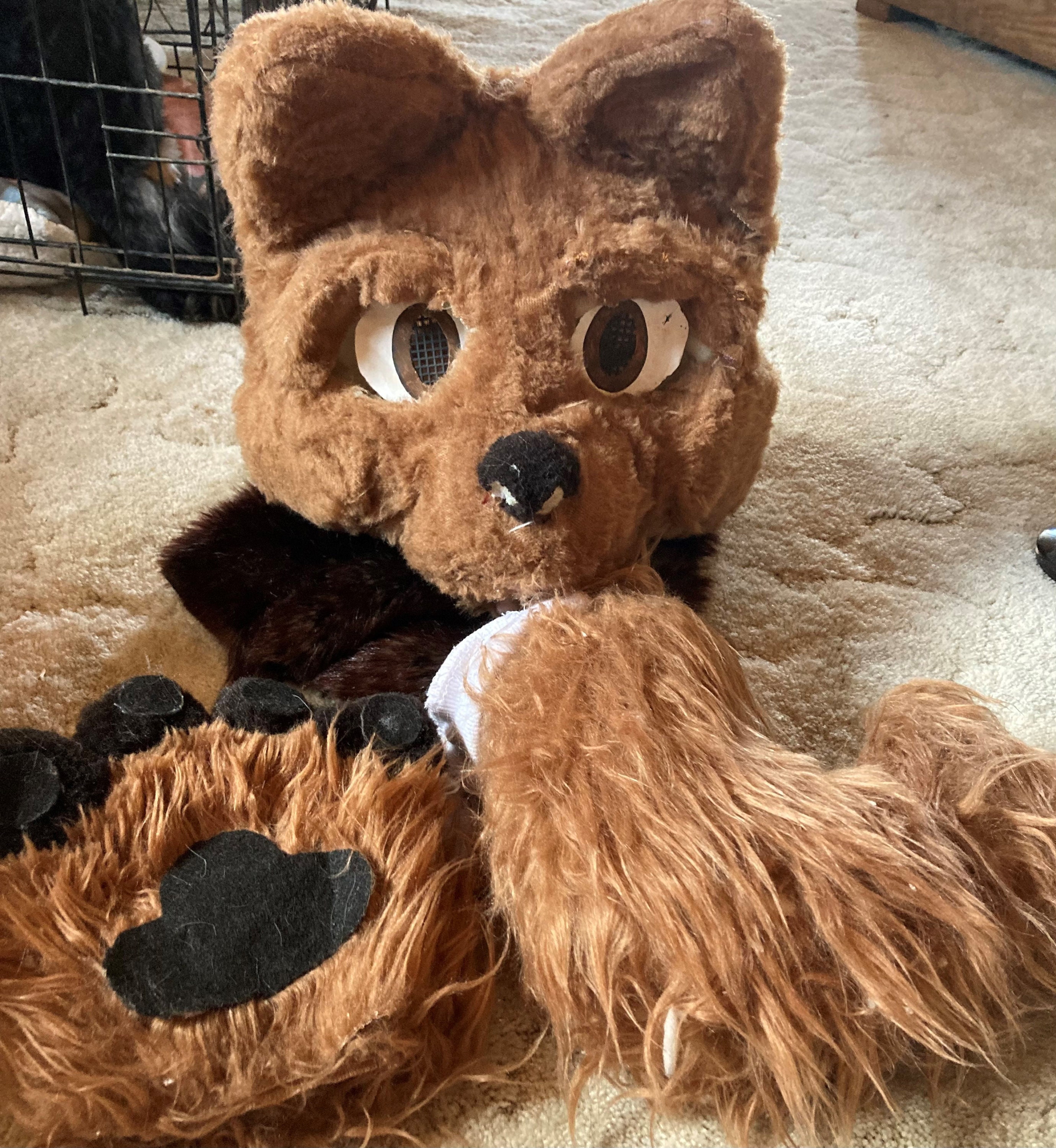 Premade Dog Fursuit Furry Costume - Etsy