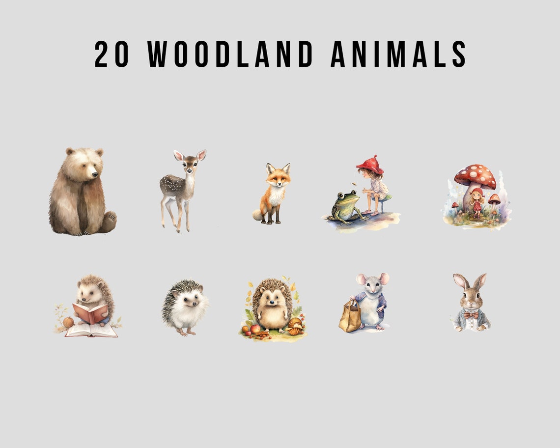 Woodland Animals Clipart Watercolor Clipart for Commercial - Etsy