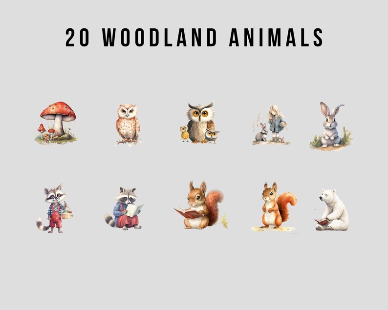 Woodland Animals Clipart Watercolor Clipart for Commercial - Etsy