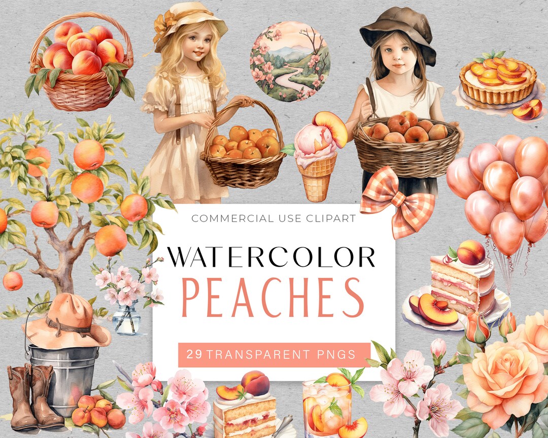 Watercolor Peaches Clipart Digital Png Peach Graphics for Instant ...