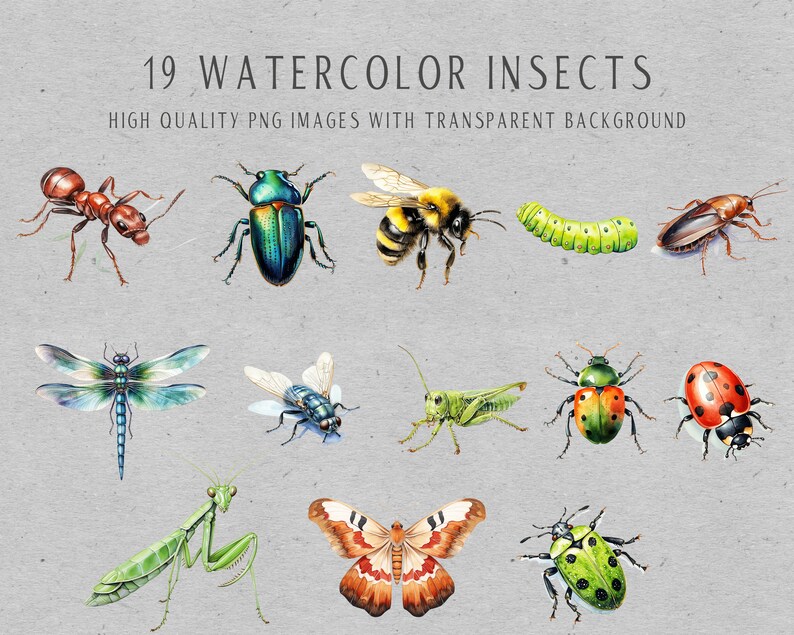 Watercolor Bugs Clipart, Watercolor Insect, Nature Clipart, Butterfly ...