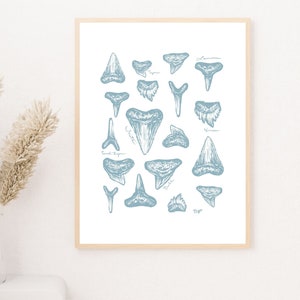 Shark Tooth Print, Surf Minimalist Line Art, East Coast Wall Art ...