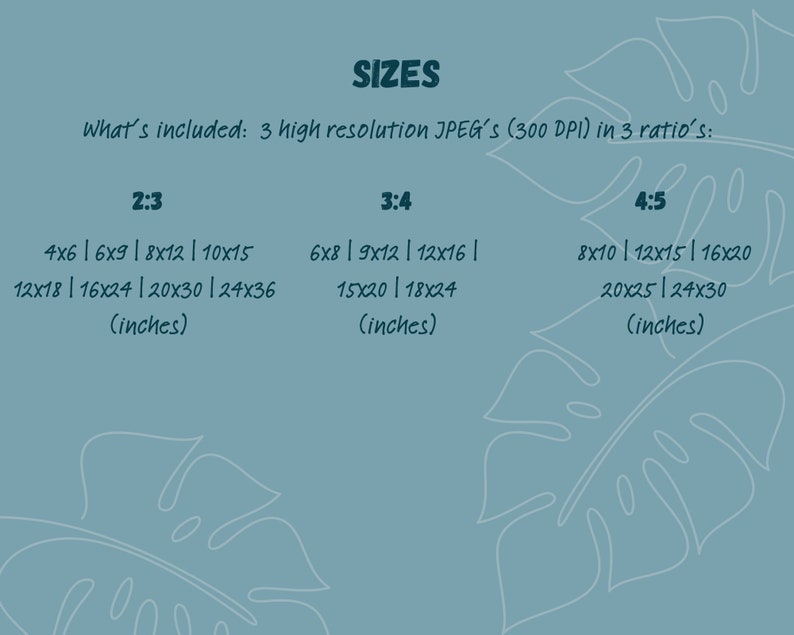 Shark Tooth Print, Surf Minimalist Line Art, East Coast Wall Art ...