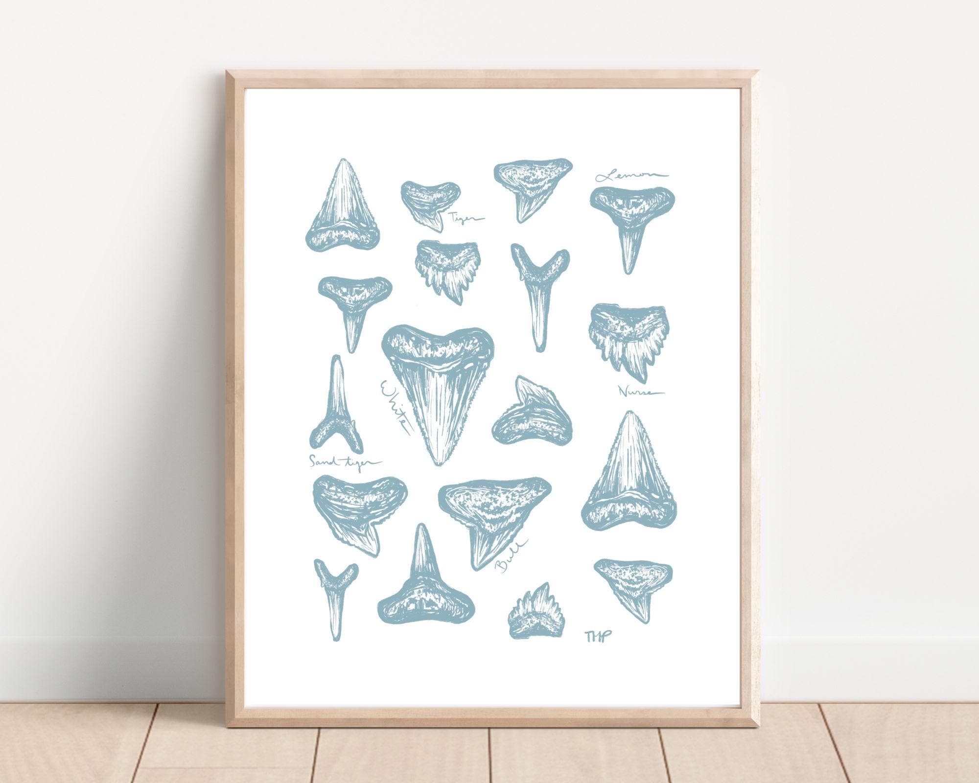 Shark Tooth Print, Surf Minimalist Line Art, East Coast Wall Art ...