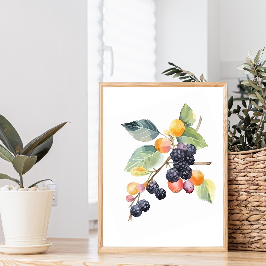 Colorful Blackberries Watercolor Digital Print,blackberries Fruit Brach ...
