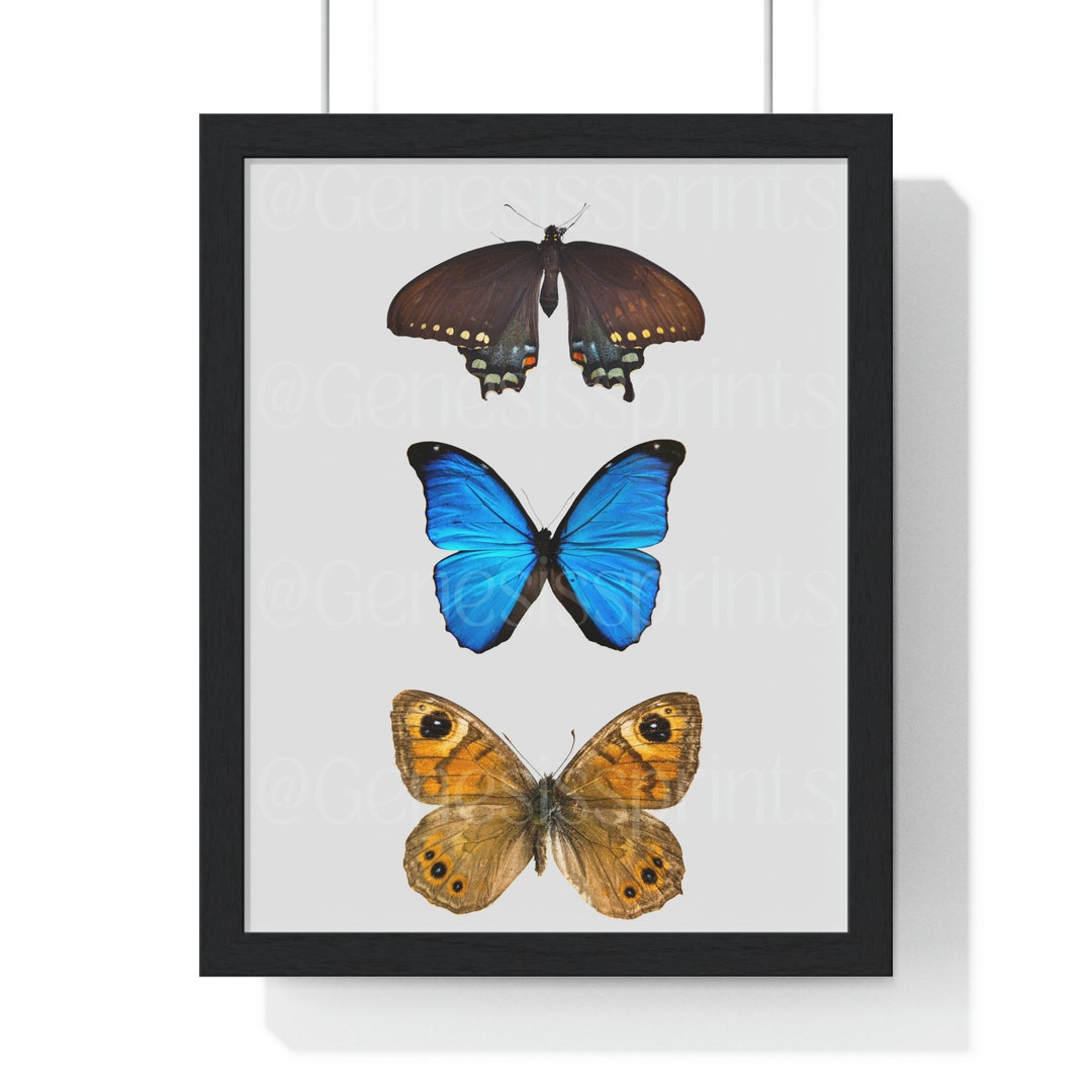 Butterfly Digital Print - Etsy