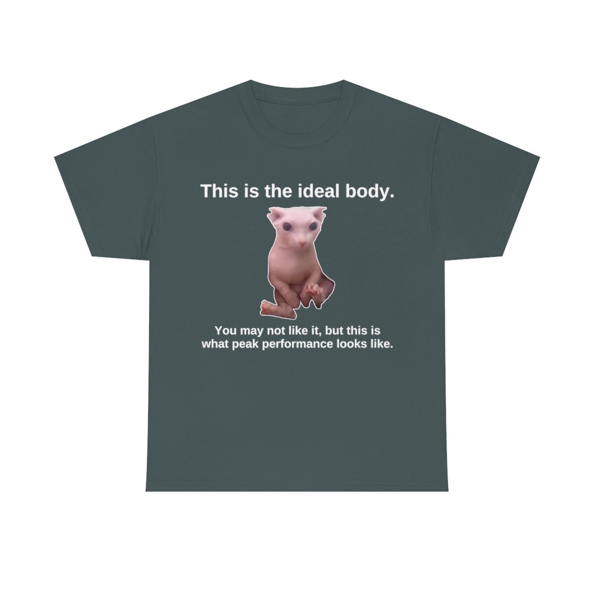 Bingus Ideal Body Tee, Funny Hairless Sphynx Cat Humor Parody, Bingus ...