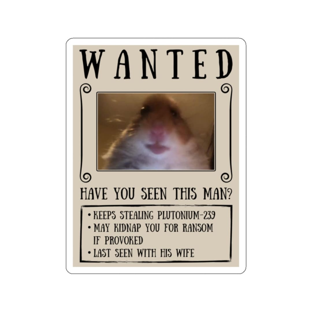 Staring Hamster Wanted Poster Sticker, Hamster Stare Meme for Kids ...