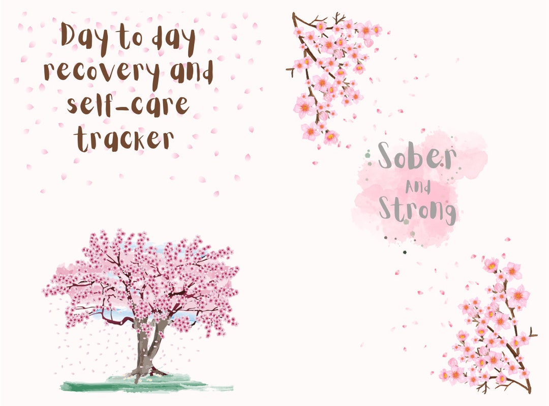 This Sobriety Journal Belongs to You. Sober Journal. Recovery Journal ...