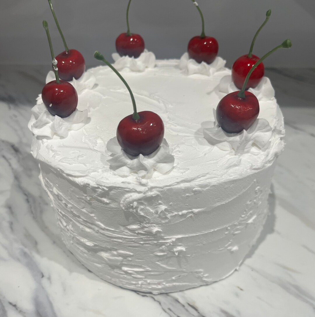 Single Tier Fake Cake Prop Photo Shoot Cake Prop Party Decor - Etsy