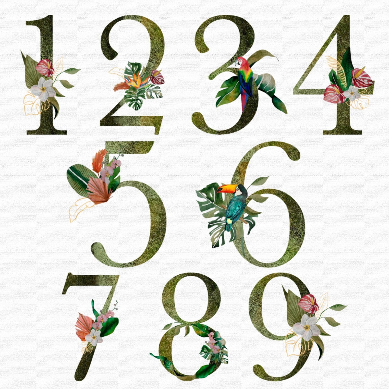 Moana SVG, PNG, Digital Download, Printable SVG, Letters Number ,jungle ...