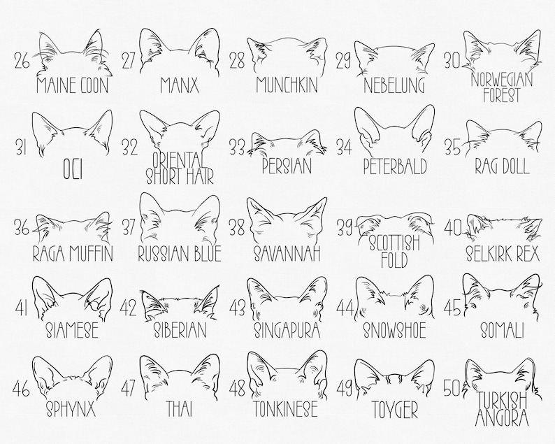 Custom Cat Shirt Personalized Cat Ear Tshirt With Name Comfort Colors ...