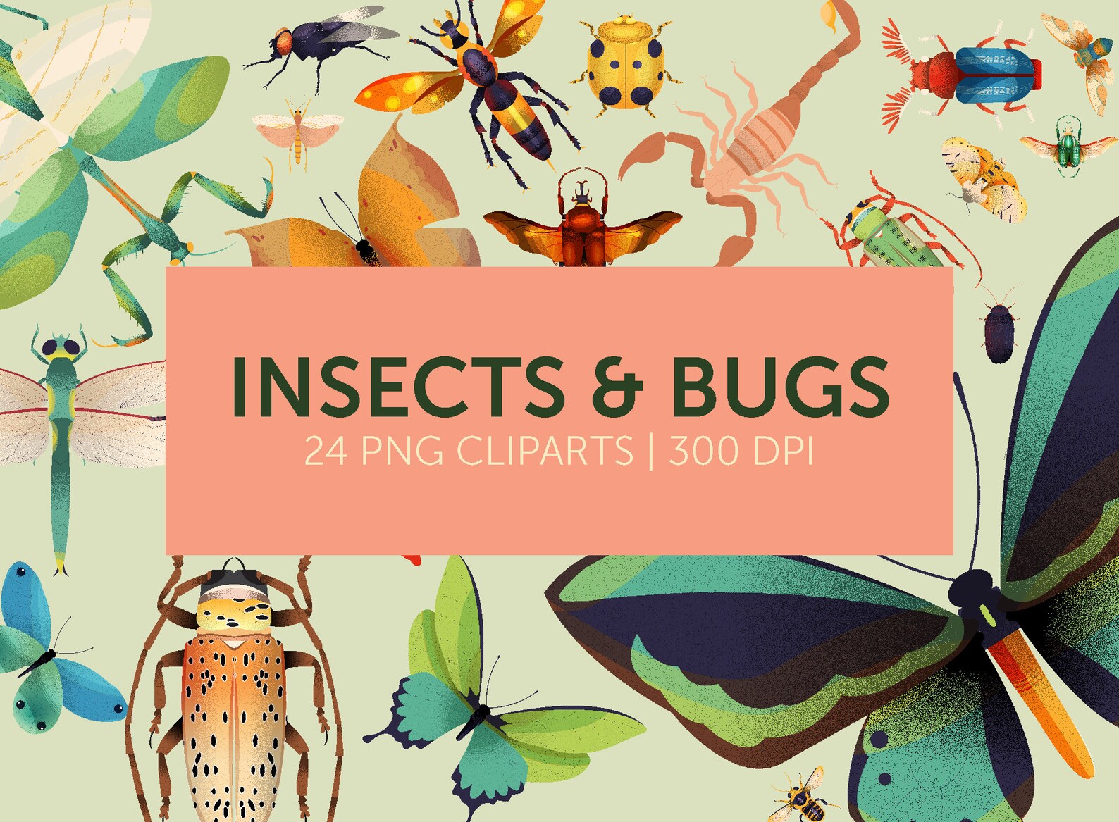 Insect Cliparts - Bug Cliparts - Butterfly Cliparts - Etsy