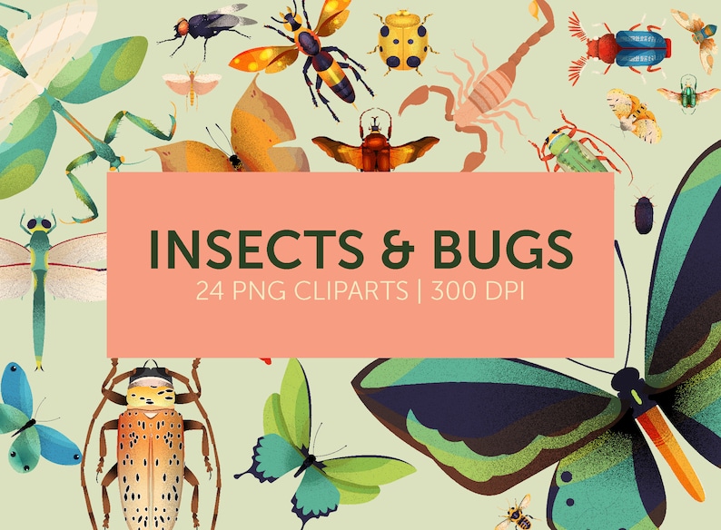 Insect Cliparts - Bug Cliparts - Butterfly Cliparts - Etsy