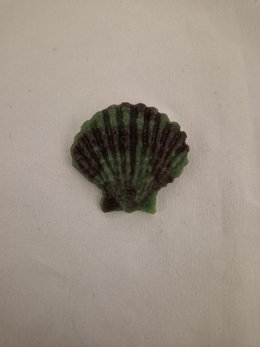 96 COE Chunky Shell Fused Glass Embellishments 1 Pc Approx 2 In. Free ...