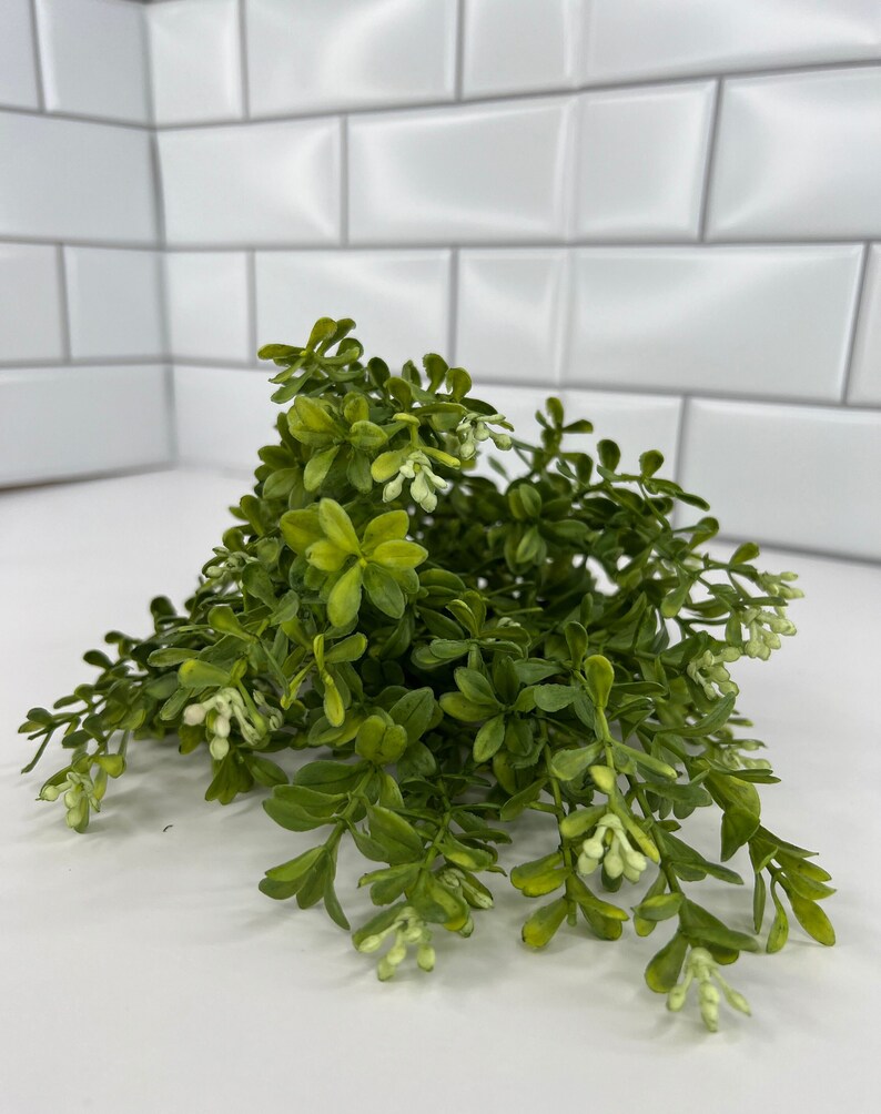 18" Boxwood Bush, Greenery, Filler Bush, Spring Greenery, Multiple ...