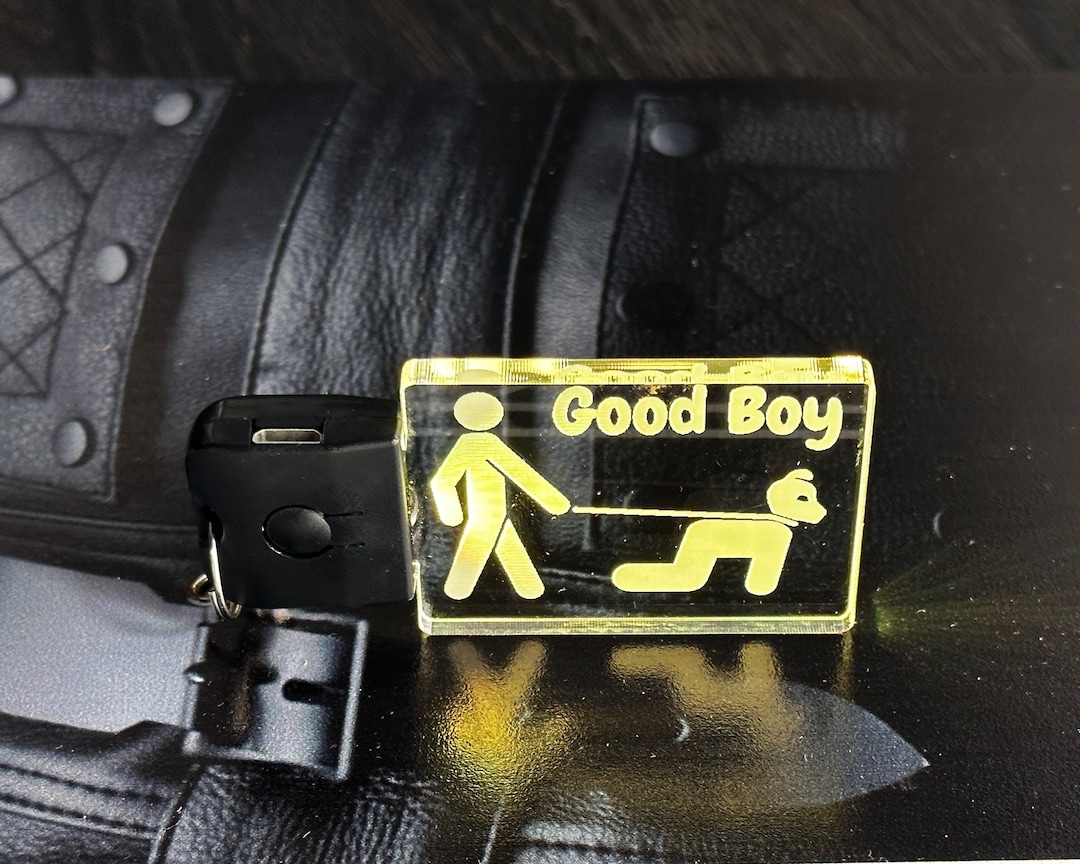 Human Pup Keychain - You Obey Me Keychain - Kitty Play - Light up Tag ...