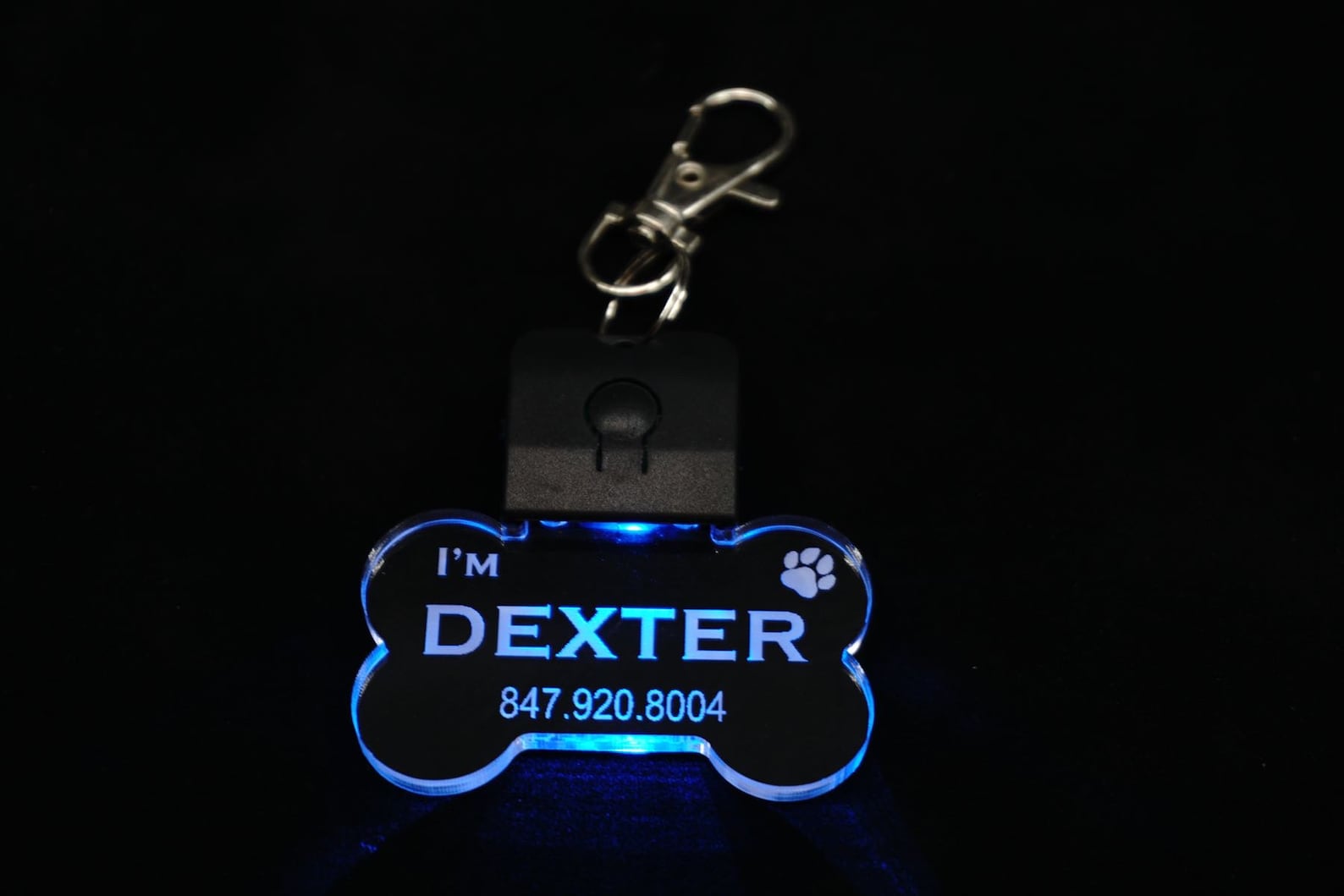 Personalized LED Dog Tag Light up Dog Tag Color Changing - Etsy