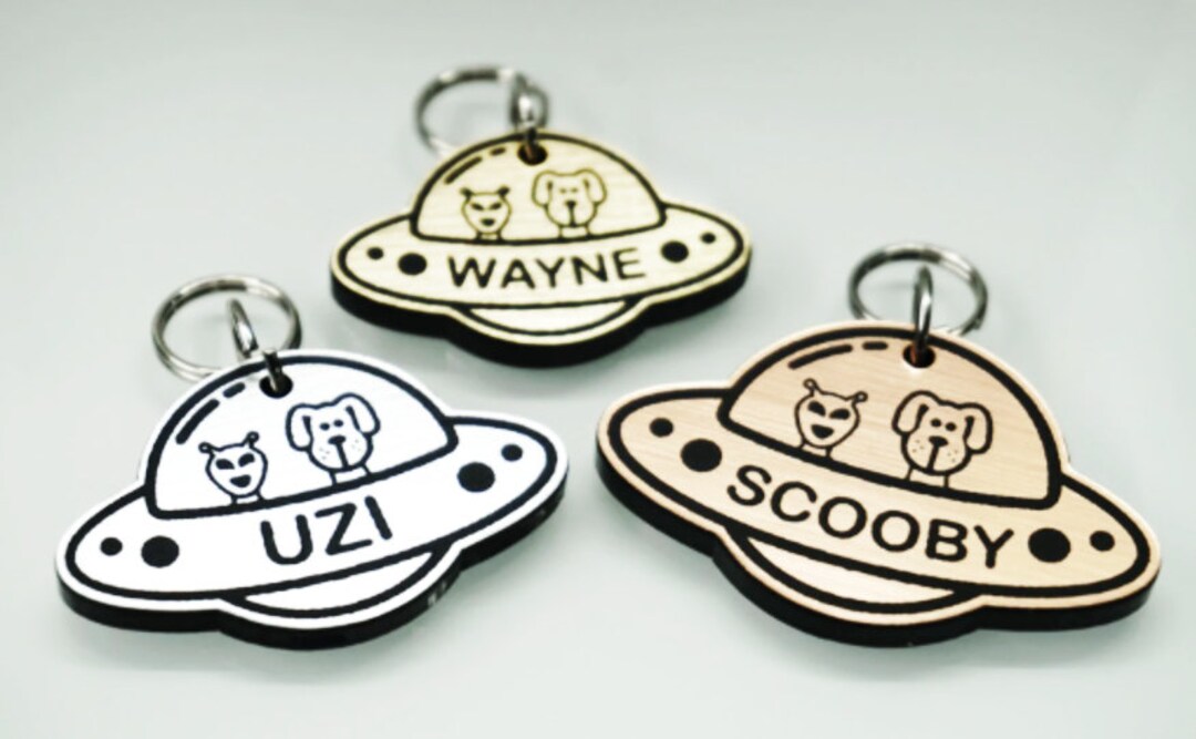 Personalized UFO Pet Tag - UFO Dog Tag - UFO Cat Tag - Unknown Flying ...