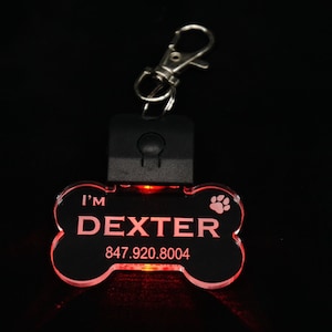 Personalized LED Dog Tag - Light up Dog Tag - Color Changing - Stocking ...