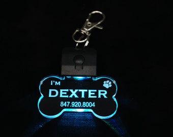 Personalized LED Dog Tag Light up Dog Tag Color Changing Stocking ...