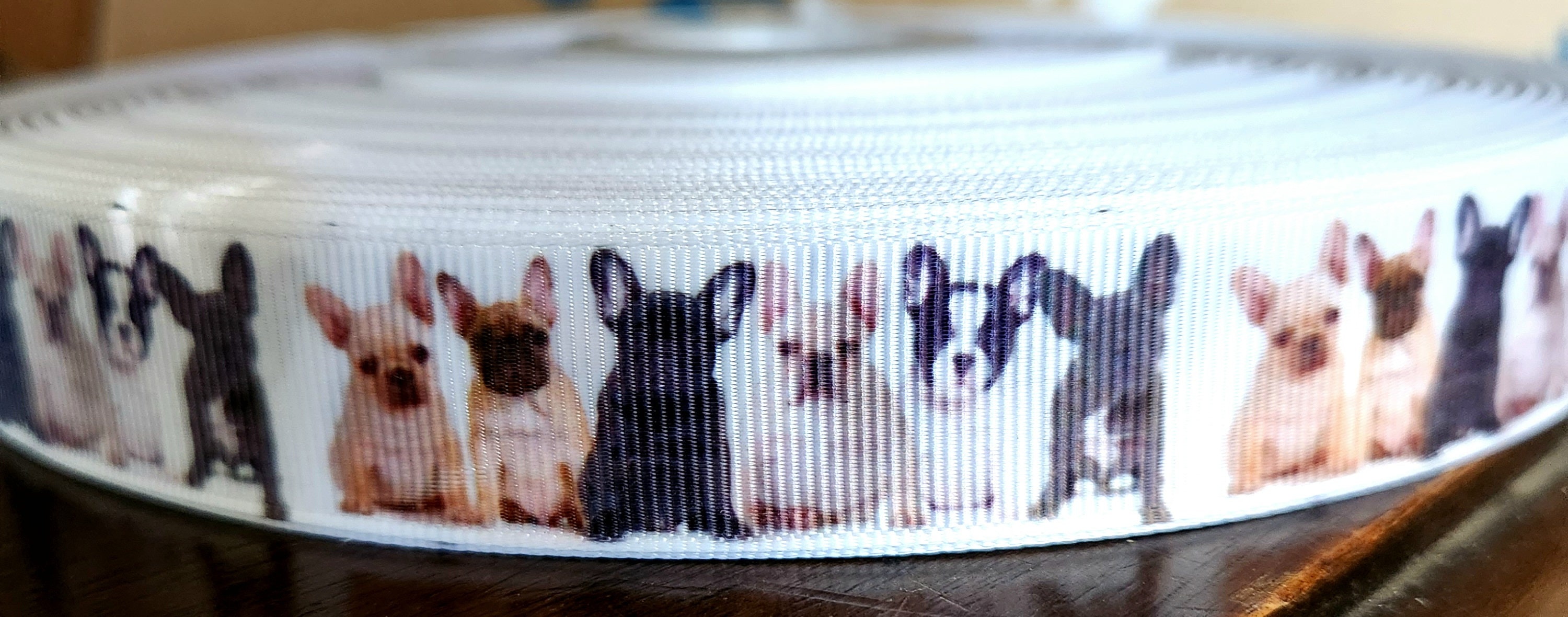 7/8 French Bulldog Parade Dog Ribbon - Etsy