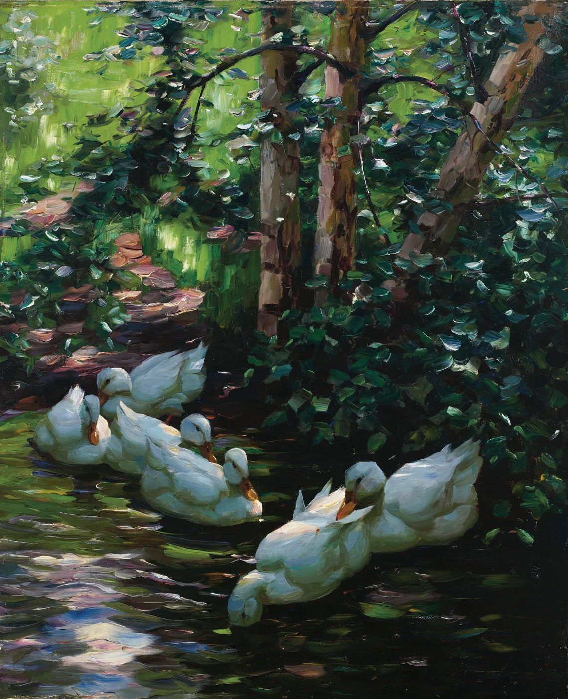 Six Ducks in Water (sechs Enten Im Wasser) by Alexander Koester - Etsy