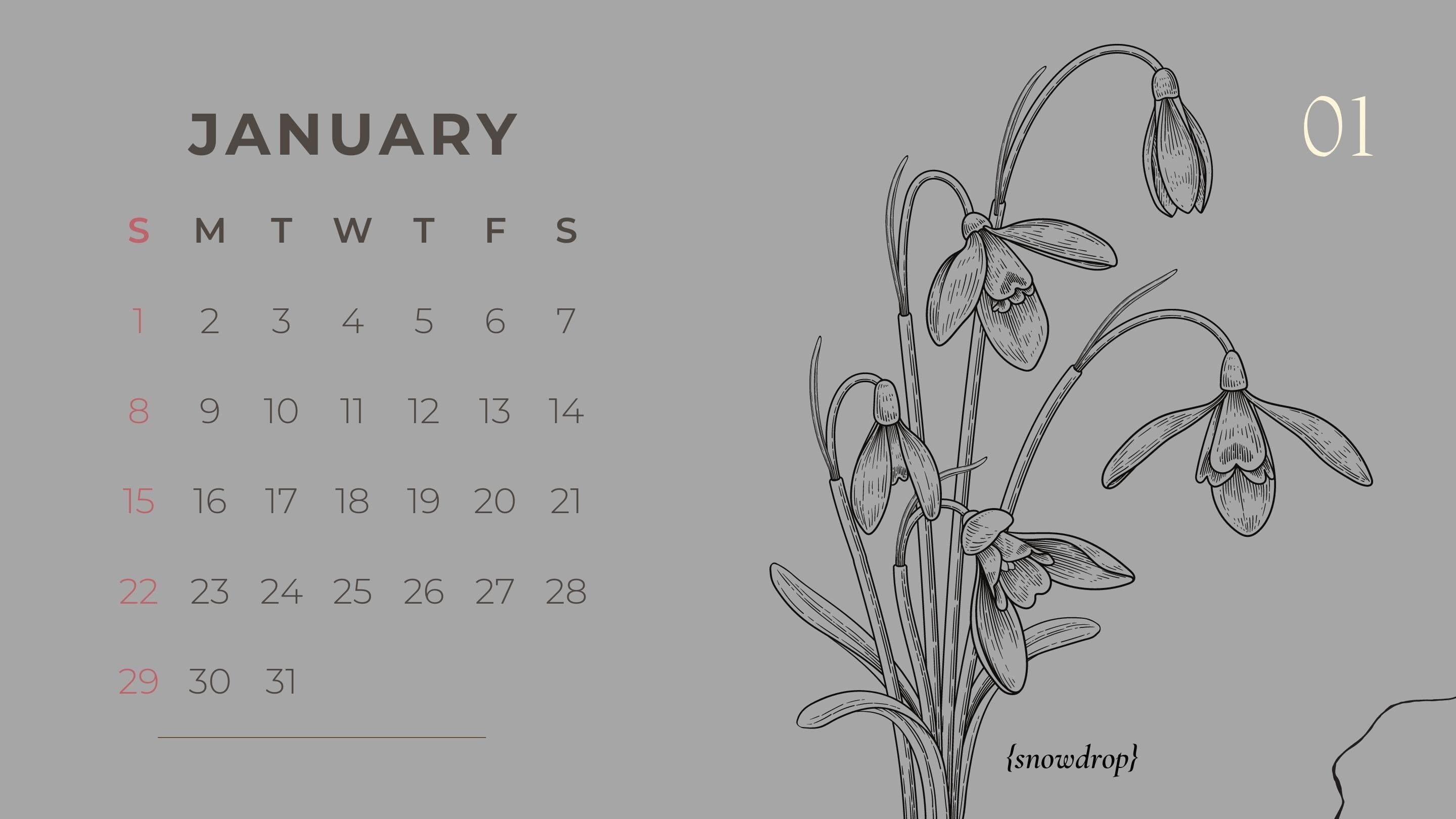 2023 Flower Birth Month Calendar || Minimalist || Planner || Elegant ...