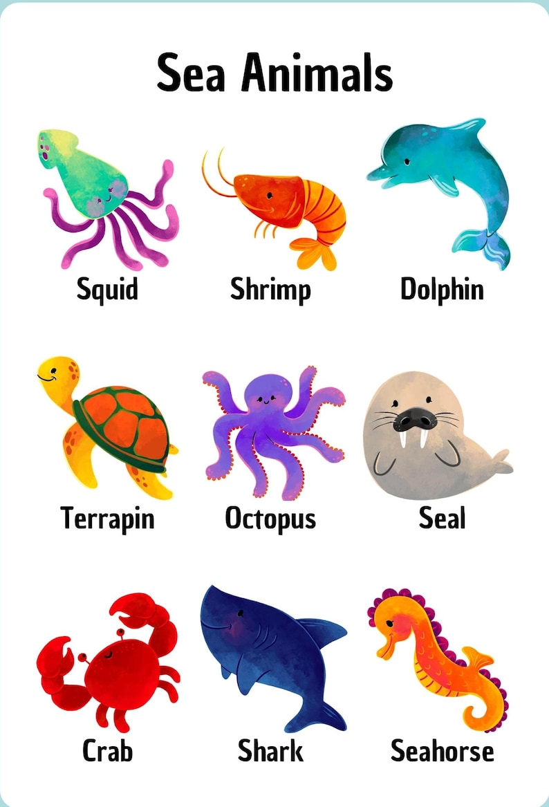 Ocean Sea Animals Alphabet Poster Educational Wall Art for Kids ...