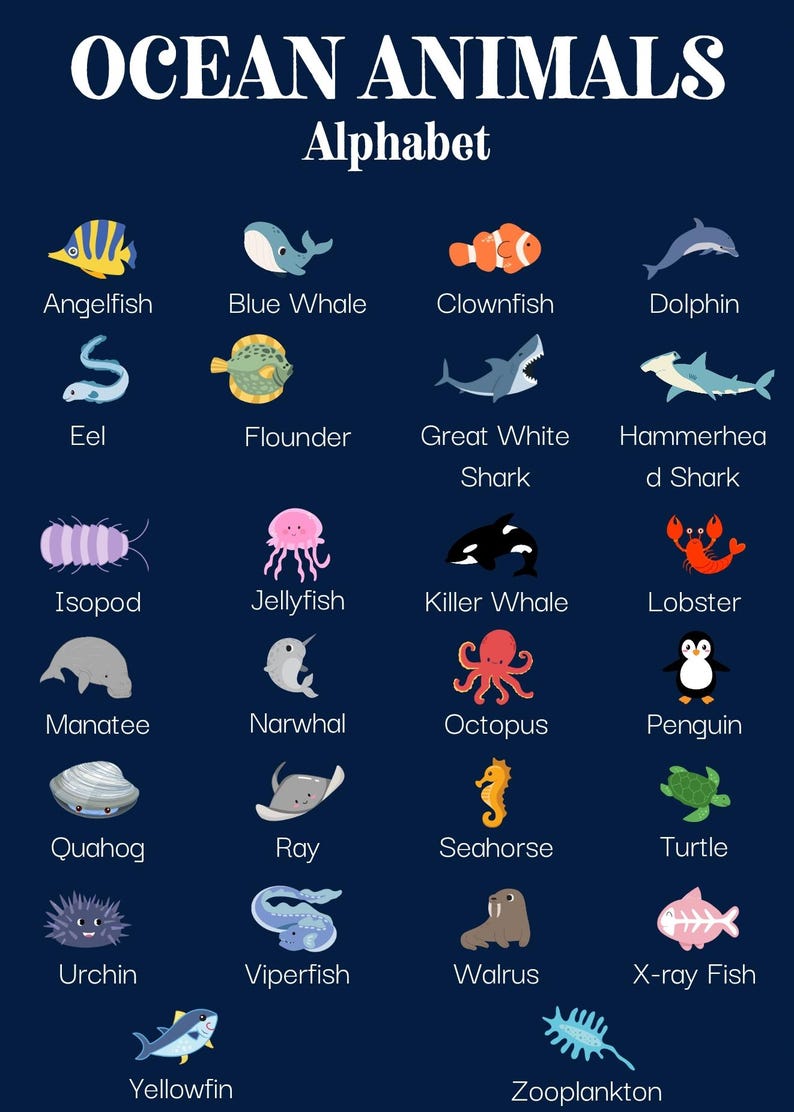 Ocean Animals Alphabet Educational Poster for Teacher, Students and ...