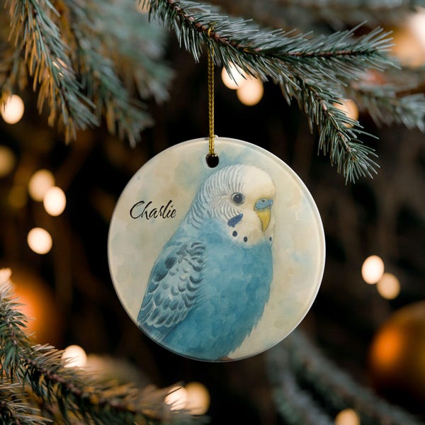 Ceramic Budgie Parakeet - Etsy