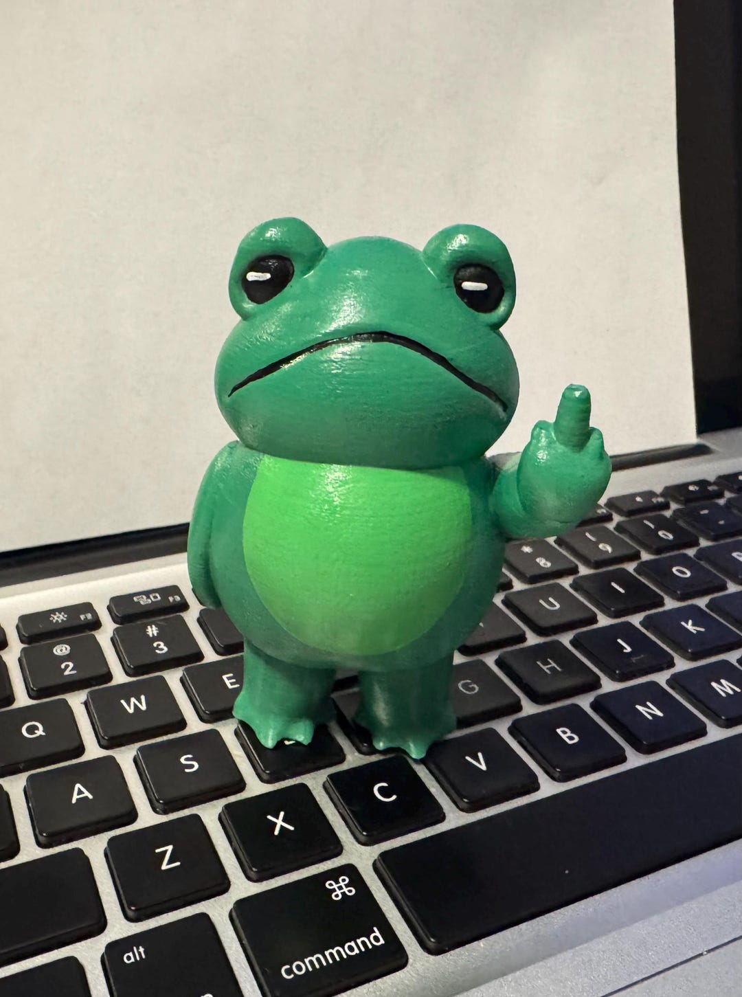 3D Printed Rude Frog - Etsy
