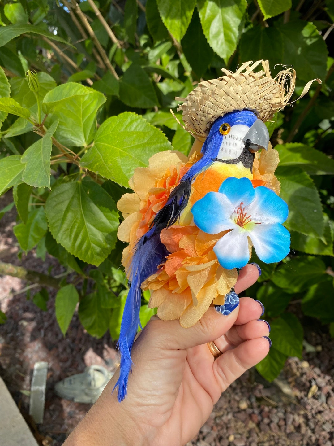 Tiki Beachcomber Parrot Hair Flower blue and Orange - Etsy