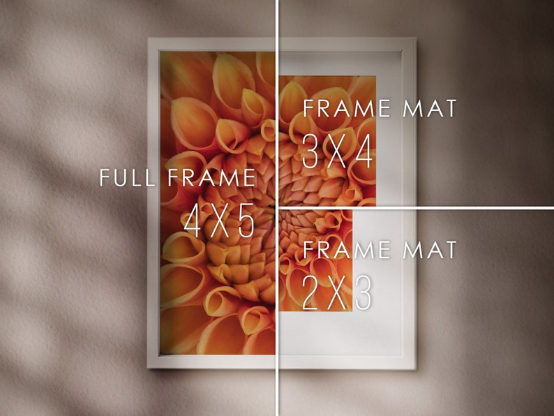 Mockup Template Photoshop Video, Listing Animation for 4x5, 3x4 & 2x3 ...