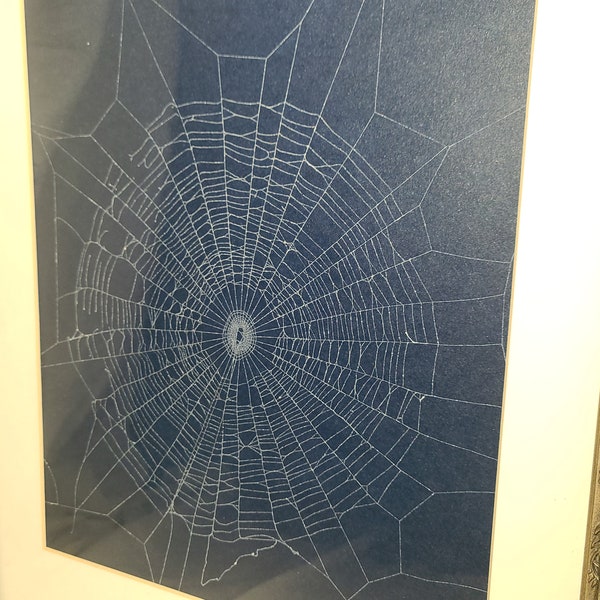 Framed Spider Web - Etsy