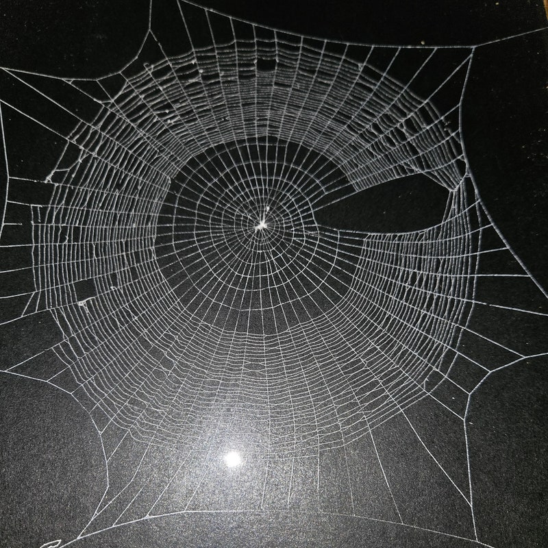 Framed Spider Web - Etsy