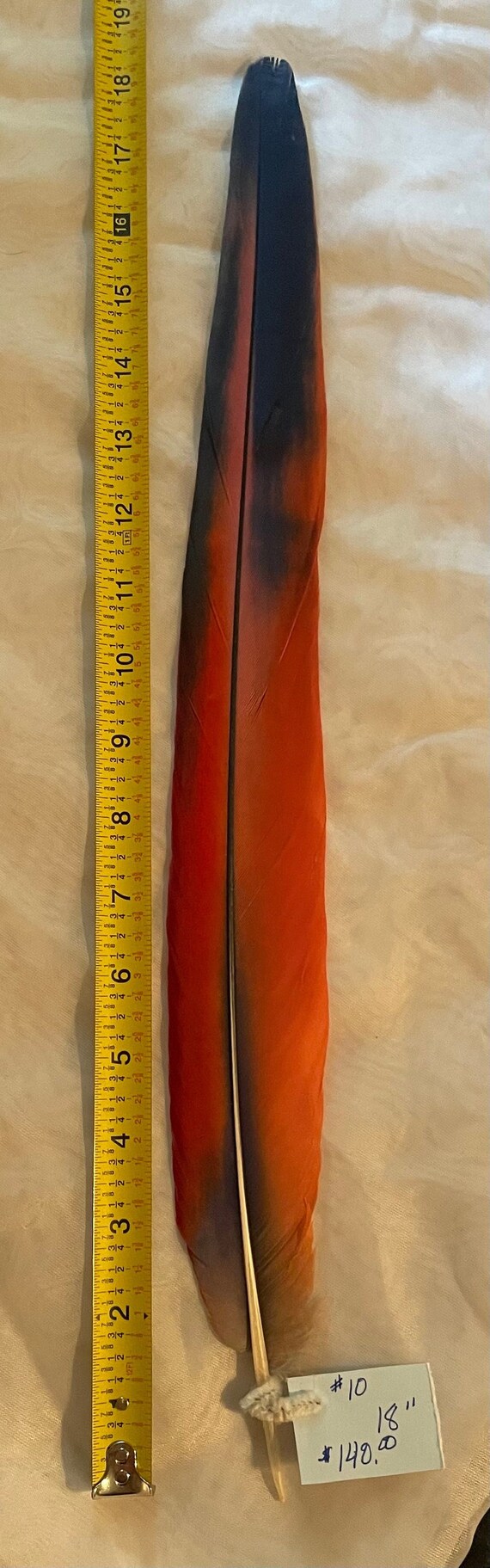 Rare Limited Collection Scarlet Macaw Feather 18 - Etsy
